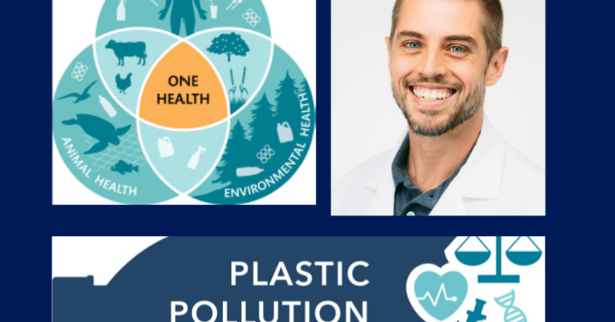 It’s Time to Talk About Plastic Pollution and Its Impacts on Human ...